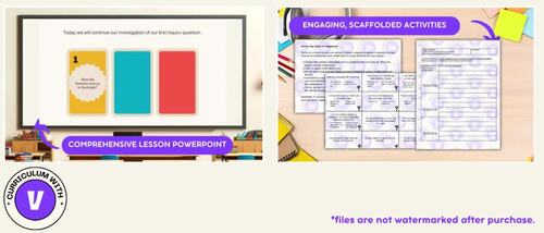 Y7 Deep Time History Lesson 5: Mega Marsupials/Megafauna Extinction