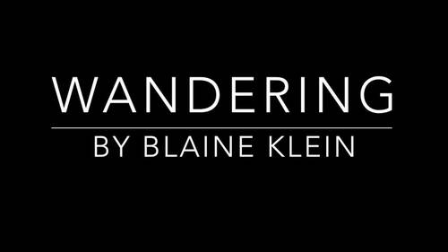 Wandering (Steel Drum Solo) by Blaine Klein by Blaine Klein | TPT