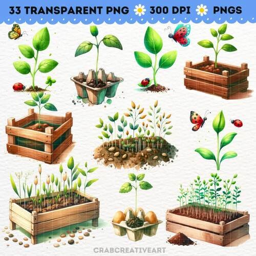 Plant Sprout Clipart Set for School Bulletin Boards and Educational Crafts