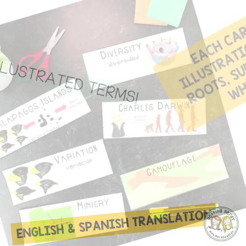 Evolution | Adaptation Illustrated Word Wall PLUS Word Roots - ENGLISH ...