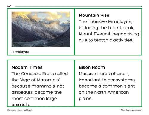 Clock of Eras Cenozoic Era Companion Fact Cards by Minkybubs Montessori