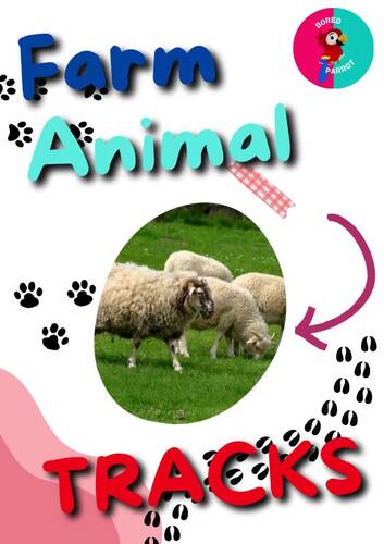 Farm Animal Tracks and Pictures for Early Years - 22 Animals - KG ...