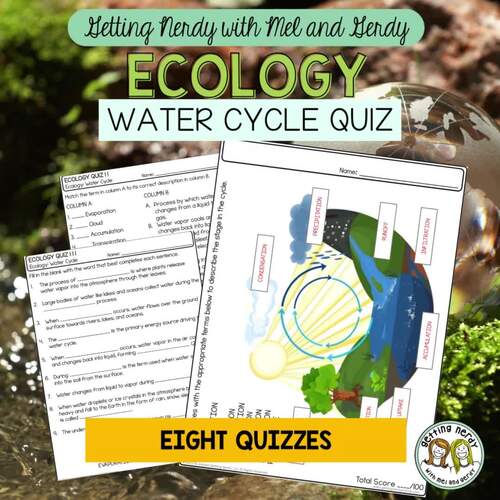 Ecology & Ecosystems Cycles in Nature: Water Cycle Quizzes - Assessments