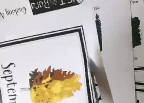 Classroom Decor | Trees Theme Birthday Display by CT and Rara | TPT