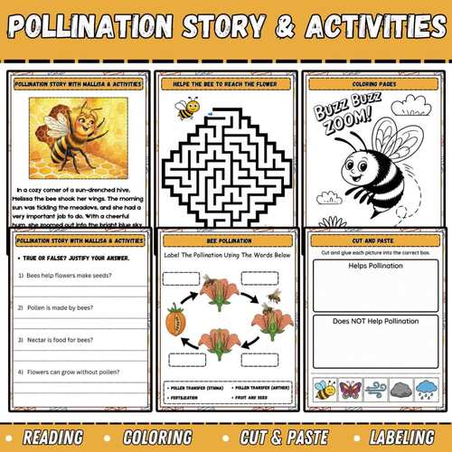 Pollination Story & Activities | Labeling, Writing, Reading, Comprehension,
