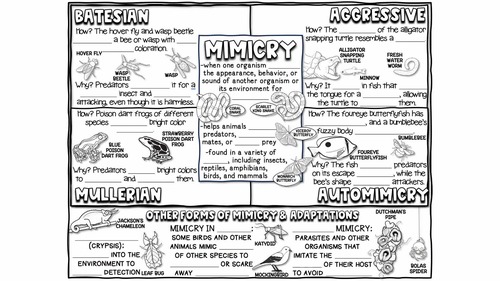 Mimicry Doodle Notes & Quiz + PowerPoint (PDF + GF) | Adaptations ...