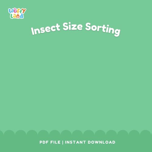 Insect Size Sorting Activity | Fun & Educational PDF for Kids | 9 Pages