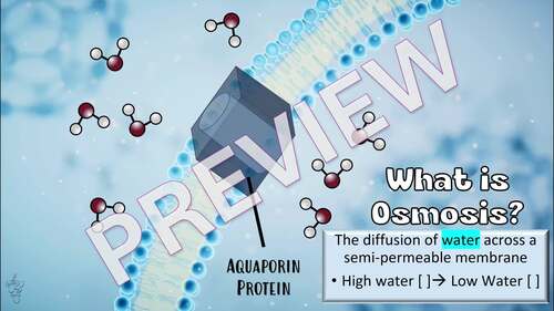 Osmosis PowerPoint Slideshow | Guided Notes | Study Guide | Quiz