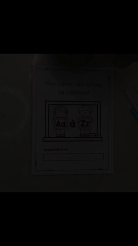 Cahier des lettres de l'alphabet-- FRENCH Alphabet Notebook by Adorable ...