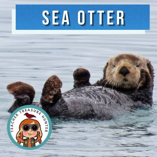 Ocean Animal Research SEA OTTER Reading and Writing pages for Animal ...