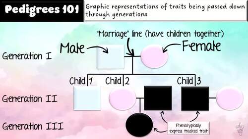 Pedigrees Animated PowerPoint Slideshow by Science With Grapes | TPT