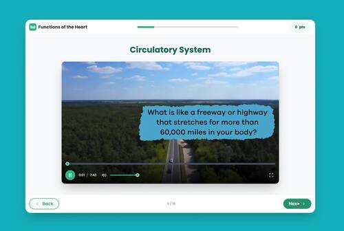 Parts and Functions of the Heart Activities, Human Heart, Science Lesson