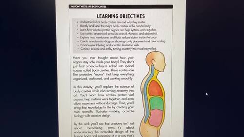 Art Science Bundle: Lungs, Heart, Brain, Body Organization, Labeling ...