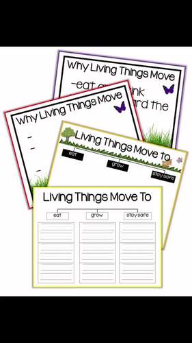 Living and Nonliving Things Sort vs Sorting Activities Science ...