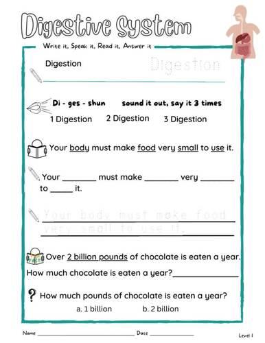 Digestive System Differentiated, Accommodated SPED | TPT