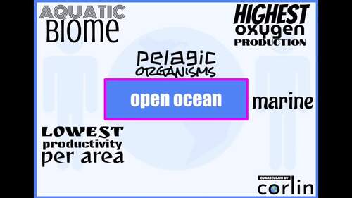 APES Keyword Vocabulary Flashcards by curriculum by corlin | TPT