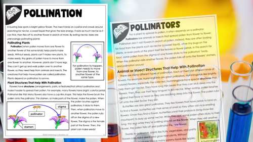 Pollination & Seed Dispersal | 2nd Grade Science NGSS | Print + Google ...