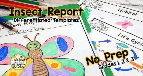 Insect Report | Research Project | Printable Report Writing Templates