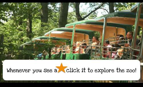 Bronx Zoo Virtual Field Trip - New York City - Wildlife Conservation ...
