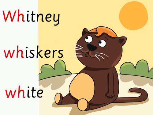 /wh/ Whitney Whalecat Phase 5 phonics by Groovy Phonics | TPT