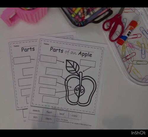 Apple Life Cycle | Parts of an Apple Labeling {fall science, sequencing}