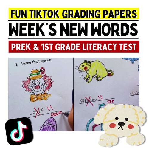 ️ 1st Write words Vocabulary word picture no prep Literacy activities ...