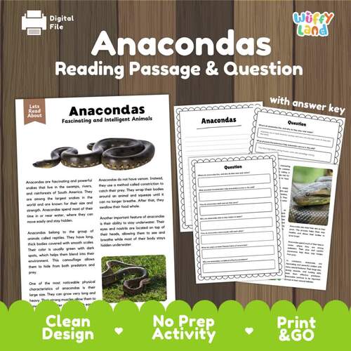 Anaconda Reading Comprehension | Reptile Life Cycle | Amazon Rainforest ...