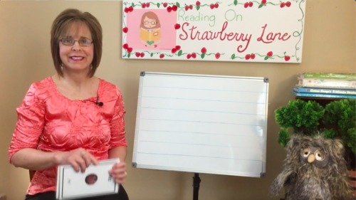 VIDEO: Reading: Set 1. Lesson 24. Word Family Pattern -ense | TPT