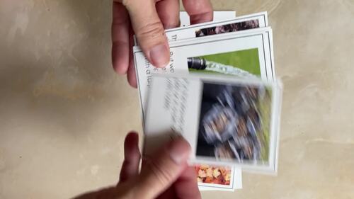 Fall Leaf Compost Sequencing Cards |Gardening Science Activity ...