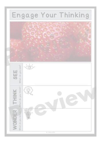 Close-Up See Think Wonder Cards | Inquiry-Based Activity & Worksheets