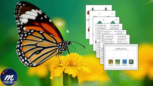 Butterfly Life Cycle Montessori IN CURSIVE 3-Part Cards Sequencing Cut ...