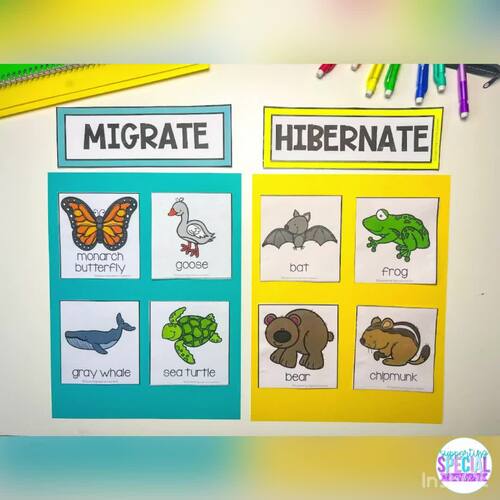 Animal Adaptations: Hibernation, Migration, & Camouflage Activities for ...
