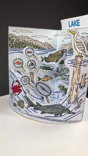 Lake Biome Model - 3D Model - Biome Project by Nitty Gritty Science