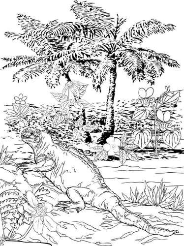 unisex coloring book