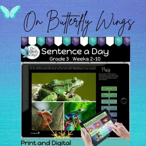 Sentence Writing Grade 3 Weeks 2 to 10 by On Butterfly Wings | TPT