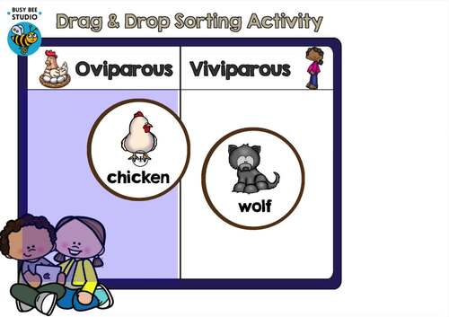 ANIMAL CLASSIFICATION SORTING OBJECTS INTO CATEGORIES SCIENCE BOOM ...