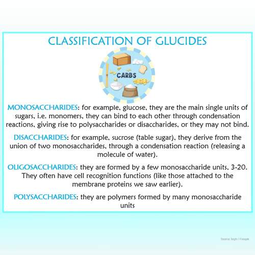 Carbohydrates Visual Study Guide: AP Biology & Medical Entrance Exams