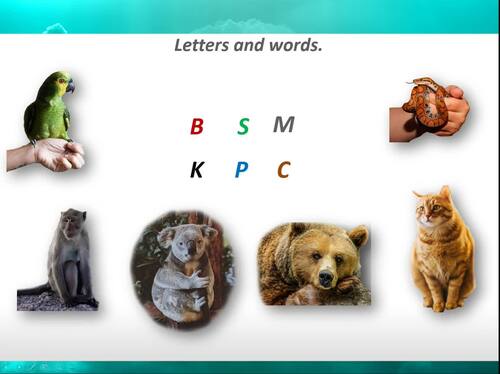 Let's Spell It / A Complete Lesson for ESL Students at the Beginner ...