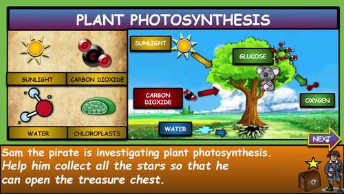 Plant Photosynthesis: Unit Bundle: Presentation|Drag & Drop|Puzzles ...