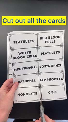 Cardiovascular System Project/Activity on Blood for Anatomy & Physiology
