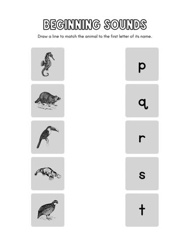 Beginning Sounds Worksheets, Alphabet Matching, ABCs, Phonics | TPT