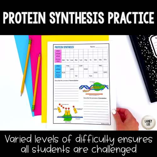Protein Synthesis Practice - Transcription and Translation by Laney Lee