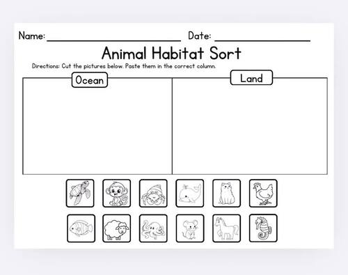 Super Sort Activities: Hands-On Sorting Worksheets for Math, Science ...