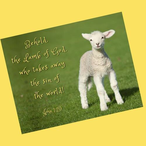 Bible Memory Verse Activities for John 1:29 by The Jillybean Jar