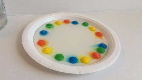 Rainbow Candy Science Experiment by Keep Your Chin Up | TPT