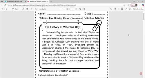 Veterans Day: Reading Comprehension and Reflection Activities by chiwden