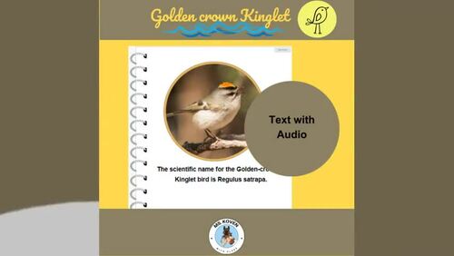 California Bird Study: Golden Crowned Kinglet Study Guide | TPT