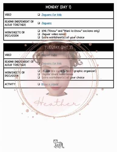 Jaguar Unit Study | Rainforest Animals | Lesson Plan, Activities | NO PREP