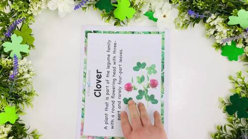 Shamrocks Clovers 2nd Grade Nonfiction Reading Text Features RI.2.5