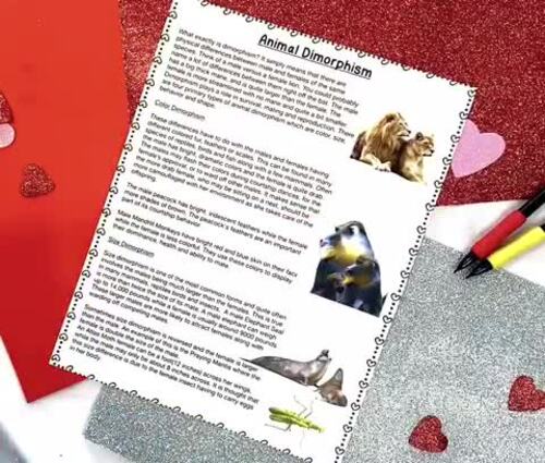 Animal Dimorphism Reading Passage and Questions | Male vs. Female Traits